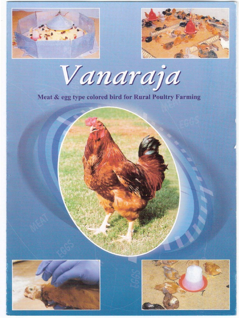 Vanaraja PDF | PDF