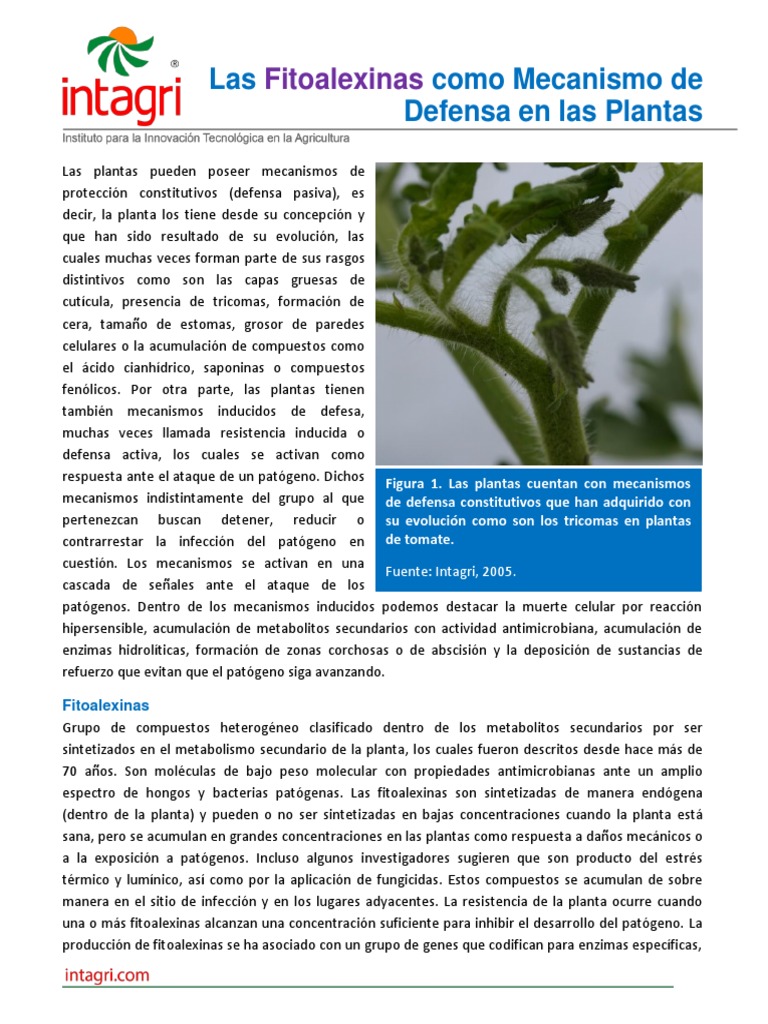 Las Fitoalexinas Como Mecanismo de Defensa en Las Plantas-1 | PDF ...