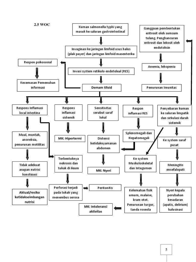 WOC Tifoid | PDF