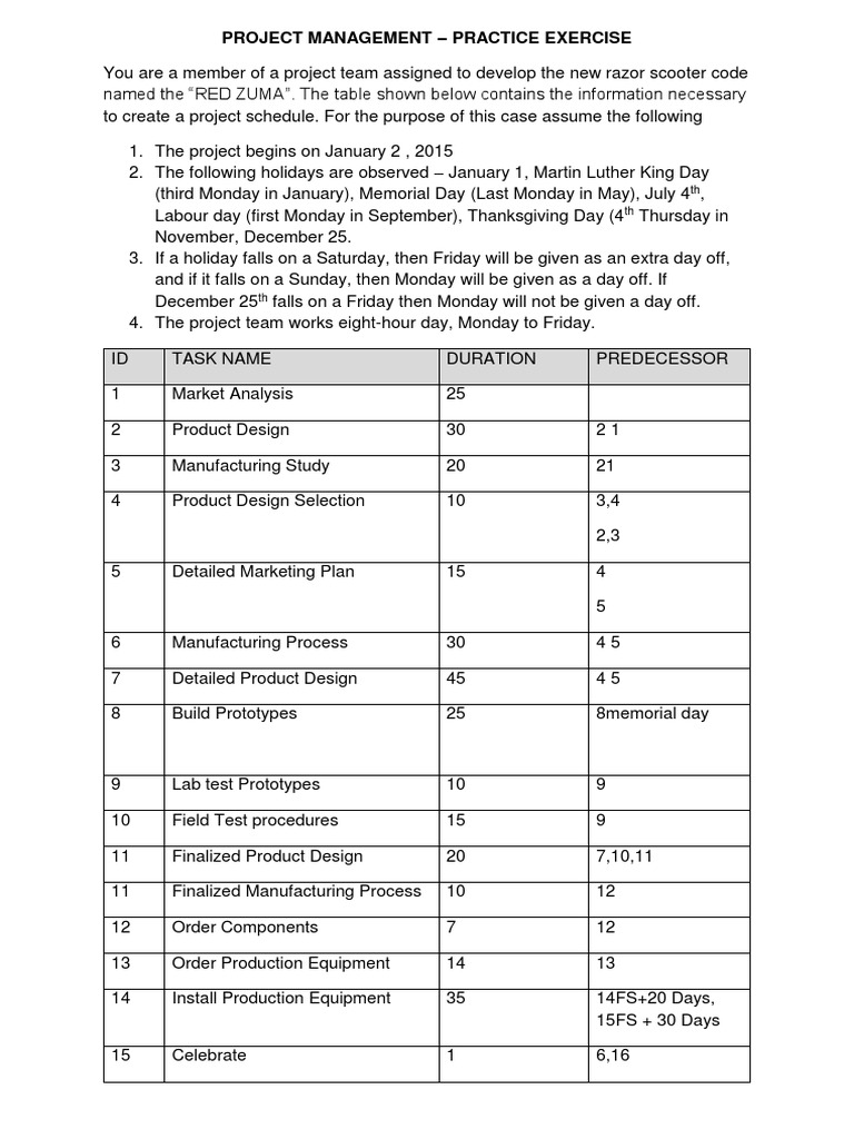 Red Zuma Project - PM Final Exercise | PDF | Industrial Engineering ...