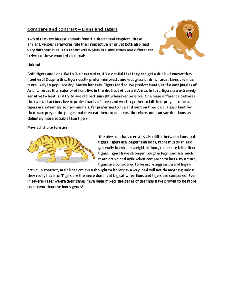 Compare and Contrast - Lions and Tigers: Habitat | PDF | Lion | Tiger