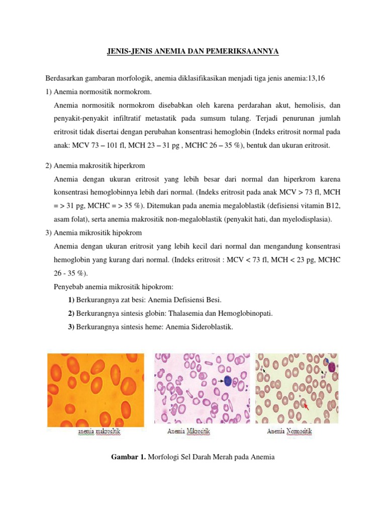 Klasifikasi dan Pemeriksaan Anemia | PDF