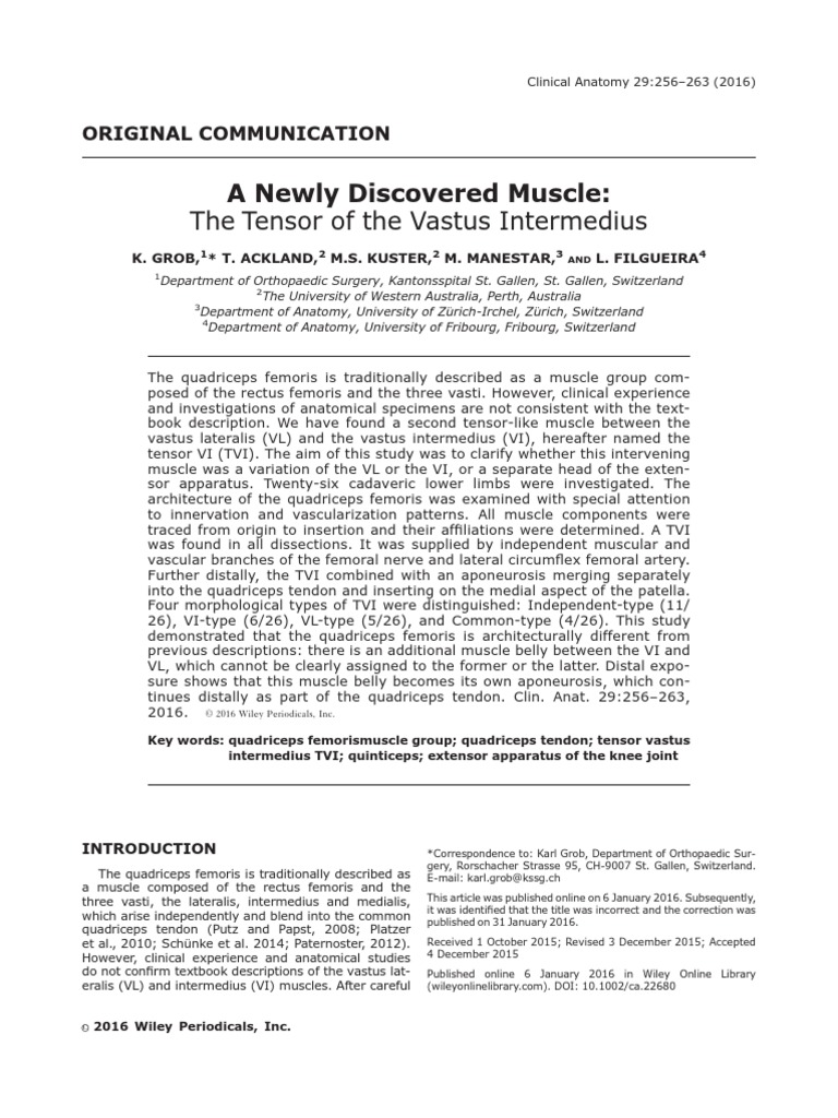 A Newly Discovered Muscle: The Tensor of The Vastus Intermedius | PDF ...
