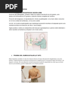 Prueba de Adams | PDF | La columna vertebral | Escoliosis