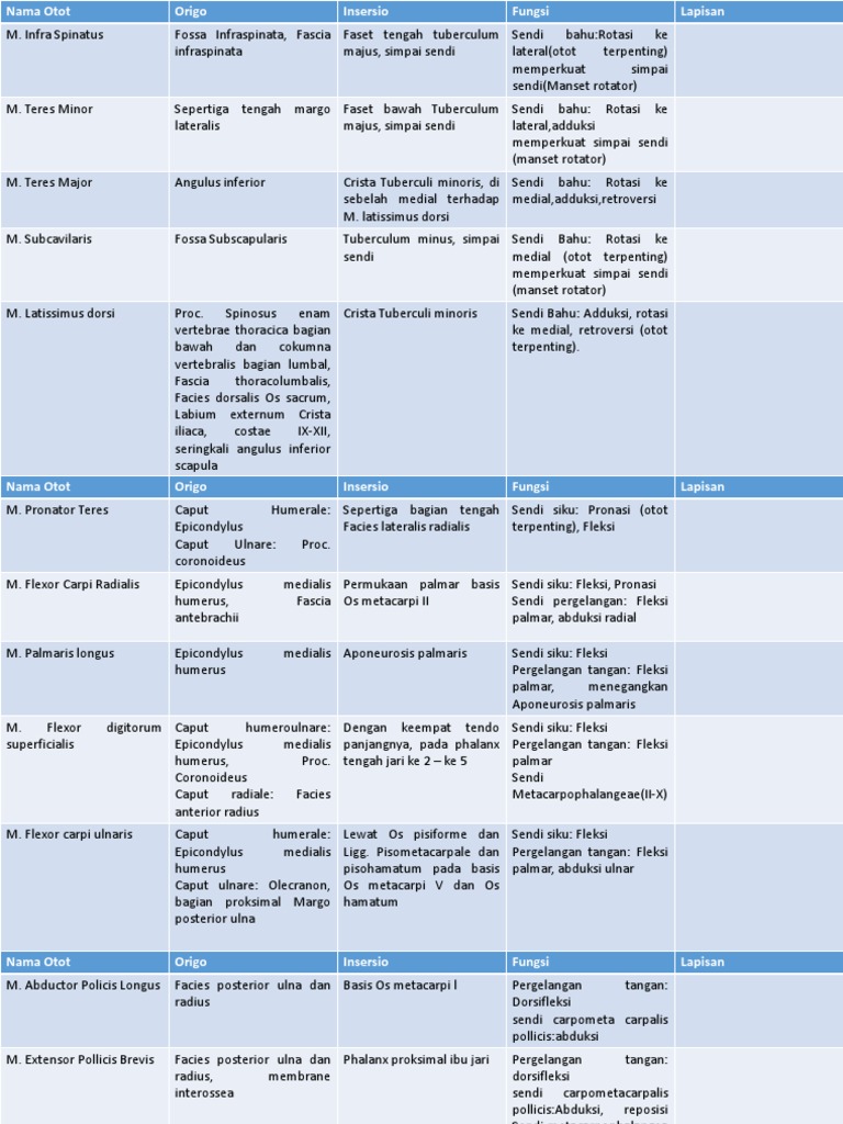 Origo Insersio Otot Extrimitas Superior | PDF | Sains & Matematika