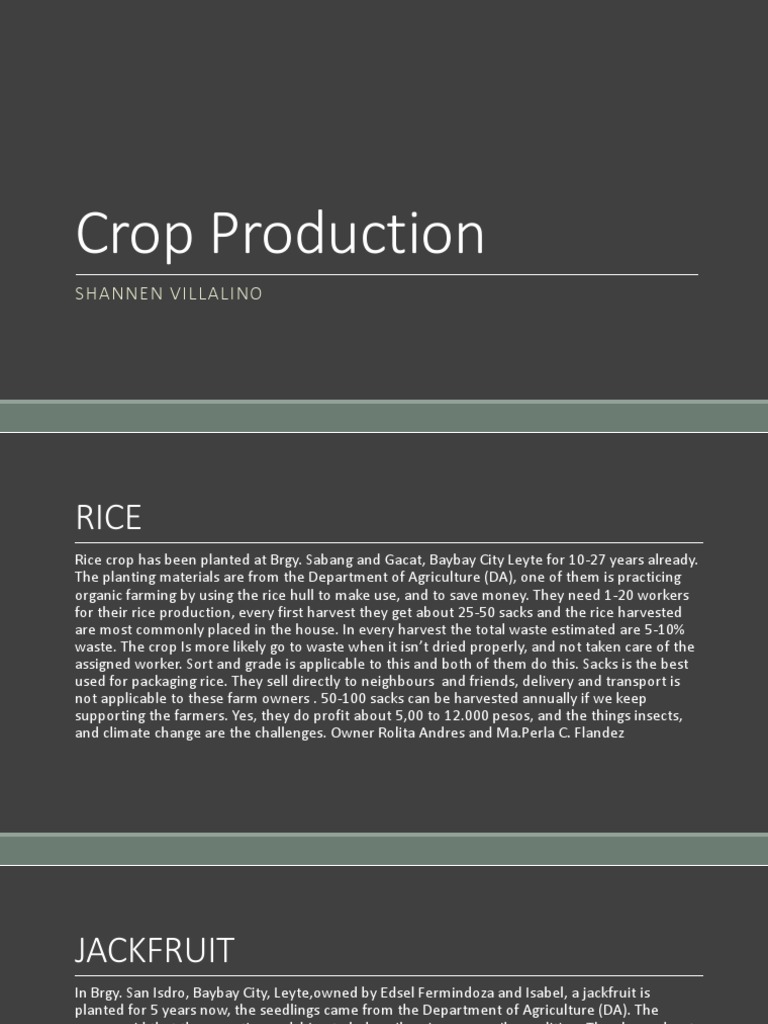 Crop Production Interview | PDF | Harvest | Rice