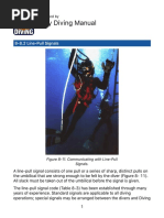 Lifeline Signals | PDF | History