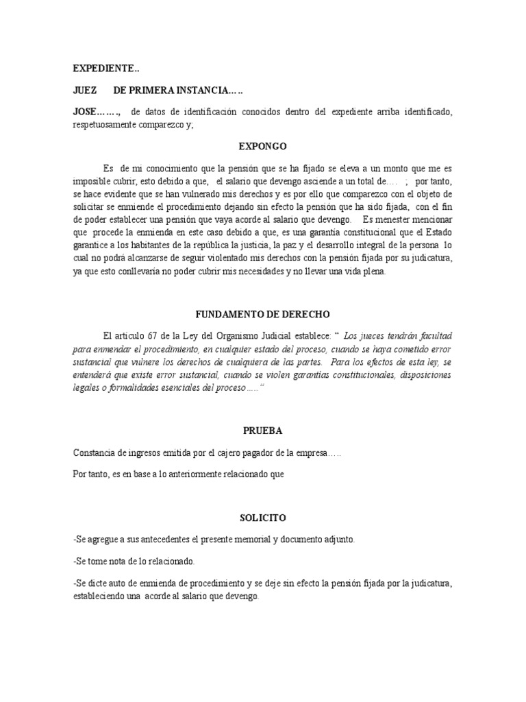 ENMIENDA | PDF