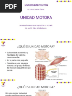 Motoneuronas Alfa y Gamma: Funciones y Características | PDF | Neurona ...