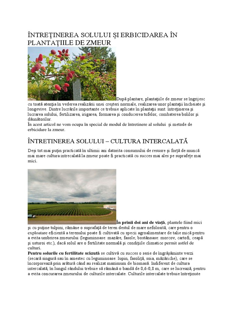 Lucrari Erbicidare | PDF