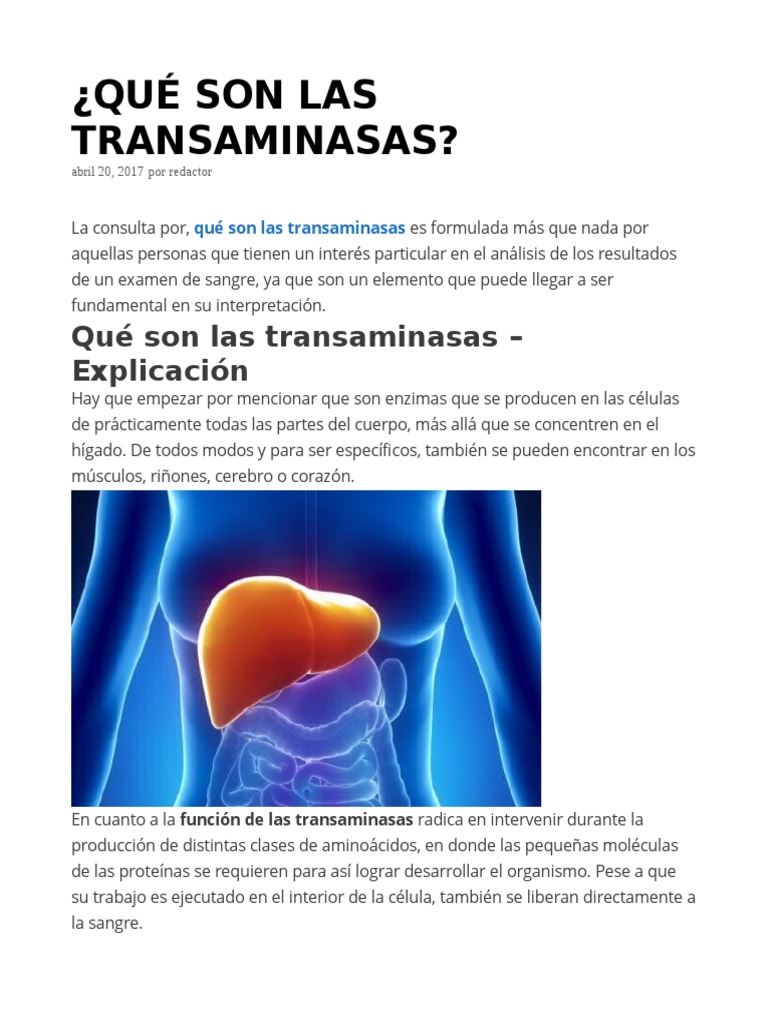 Transaminasas | PDF | Transaminasa | Hepatitis