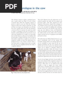 Handling and Restraining Livestock: Floron C. Faries, Jr. DVM, MS | PDF ...