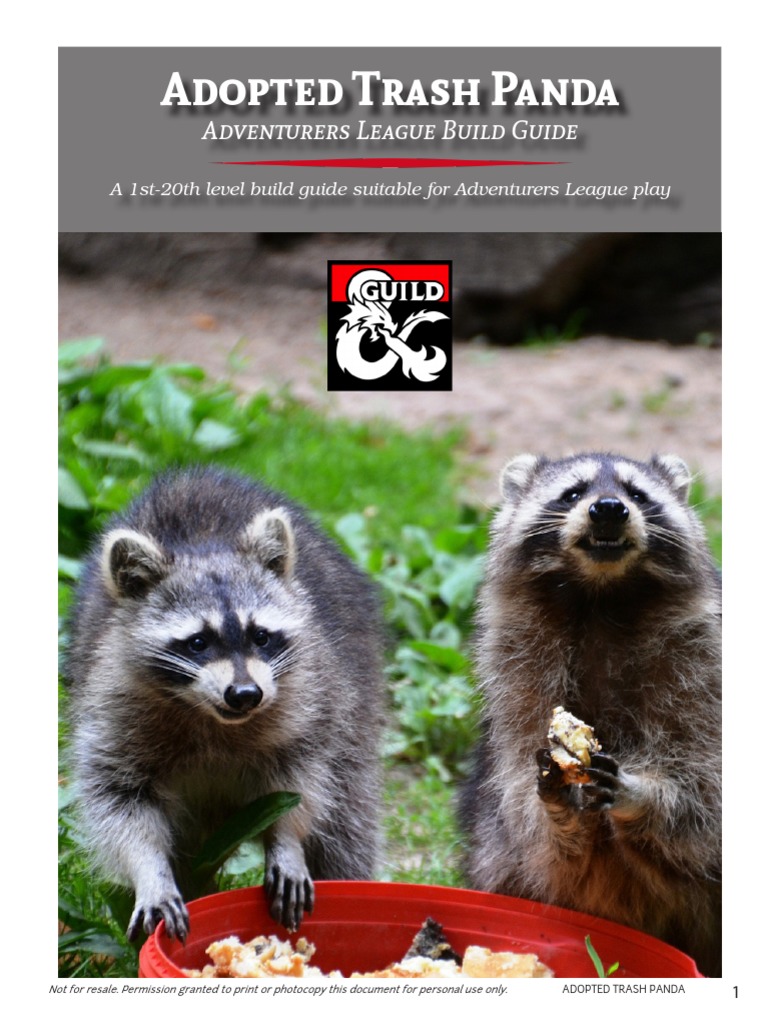 Adopted Trash Panda Druid Character Build Guide | PDF | Wizards Of The ...