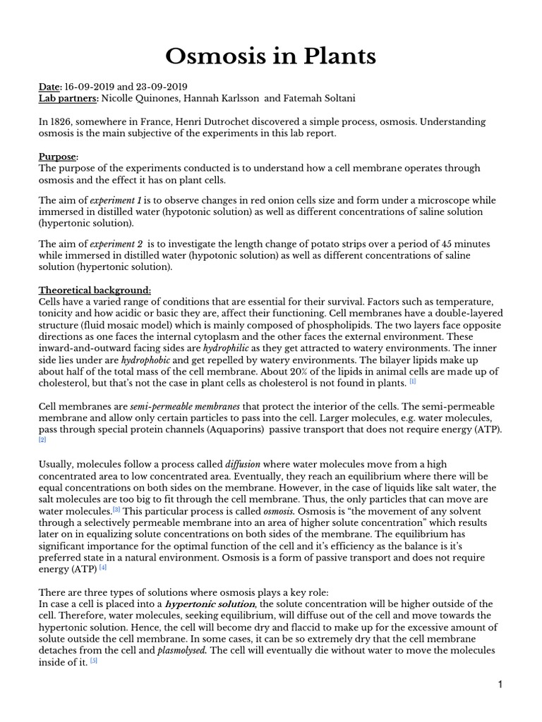 Experiment - Osmosis in Plants | PDF | Osmosis | Cell Membrane