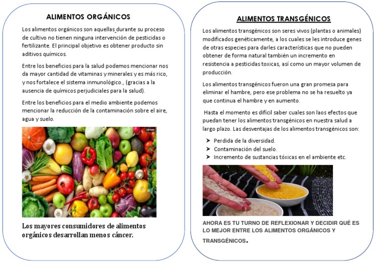 1 Lectura de Los Alimentos Transgenicos