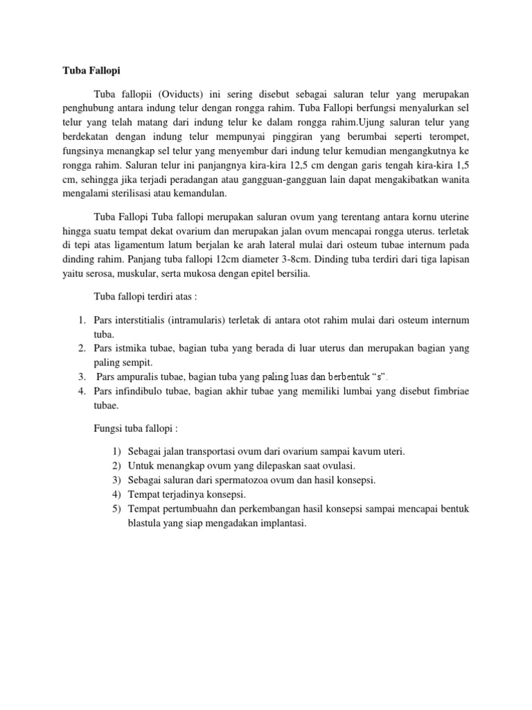 Tuba Fallopi | PDF