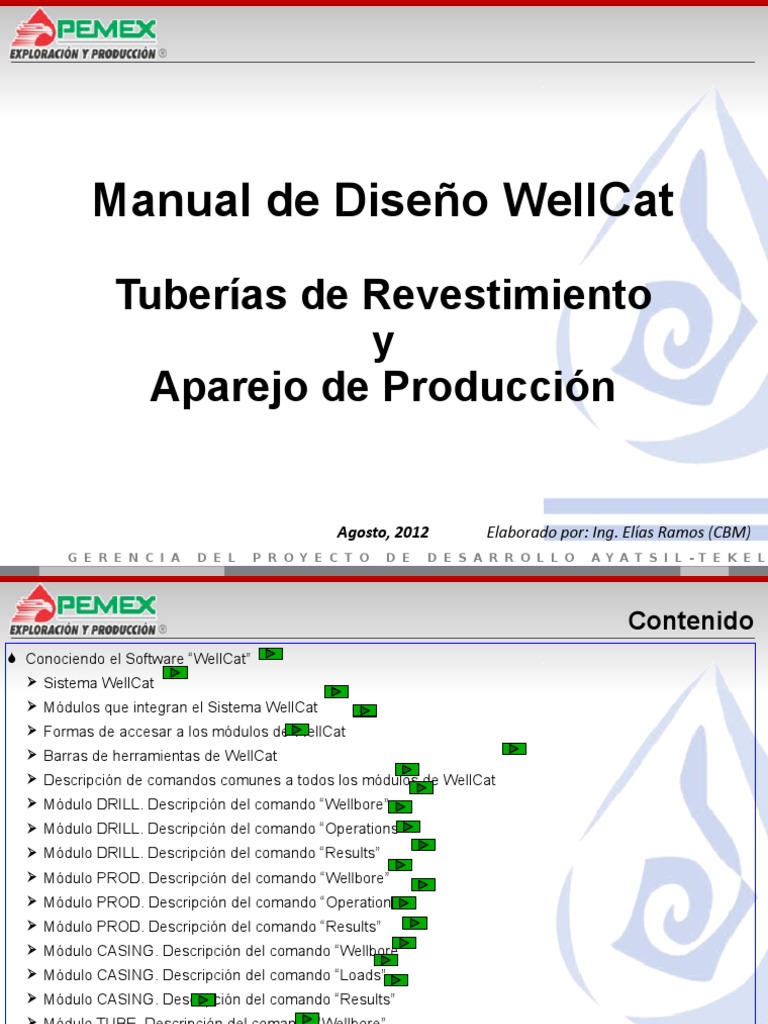 Manual de Usuario WellCat Diseño | PDF | Tubería (transporte de fluidos ...