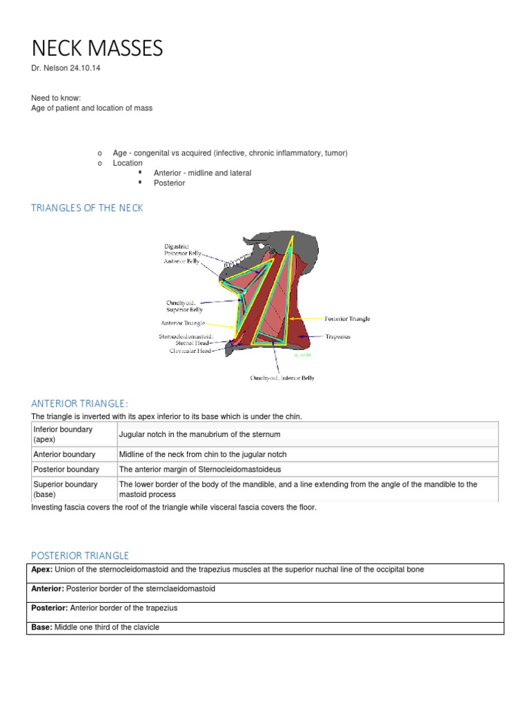 Neck Masses: Triangles of The Neck | PDF | Neck | Thyroid