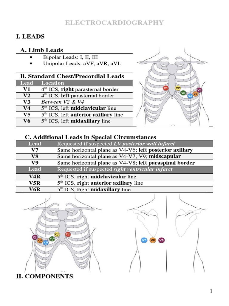 Electrocardiography: I. Leads A. Limb Leads | PDF | Electrocardiography ...