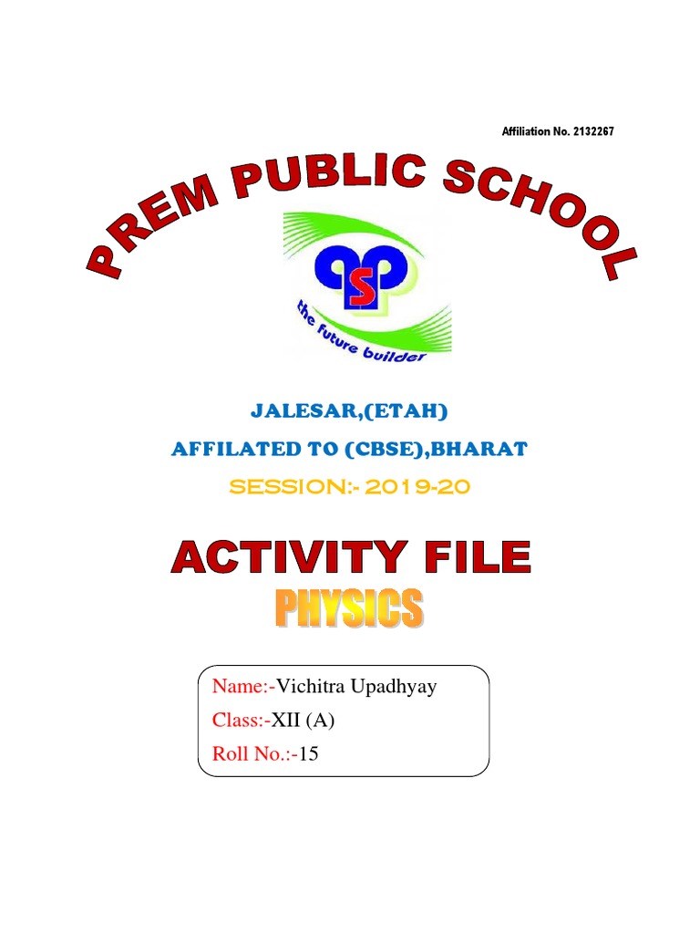 Activity Vichitra | PDF