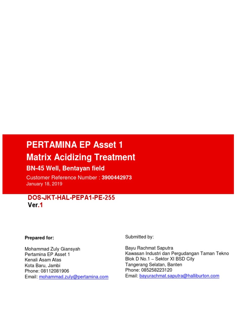DOS Matrix Acidizing Treatment PEPA1 BN-45 DOS V1 180119 | PDF | Casing ...