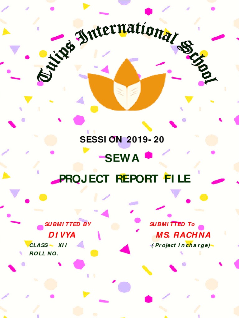 SEWA Project Report 2019-20 | PDF
