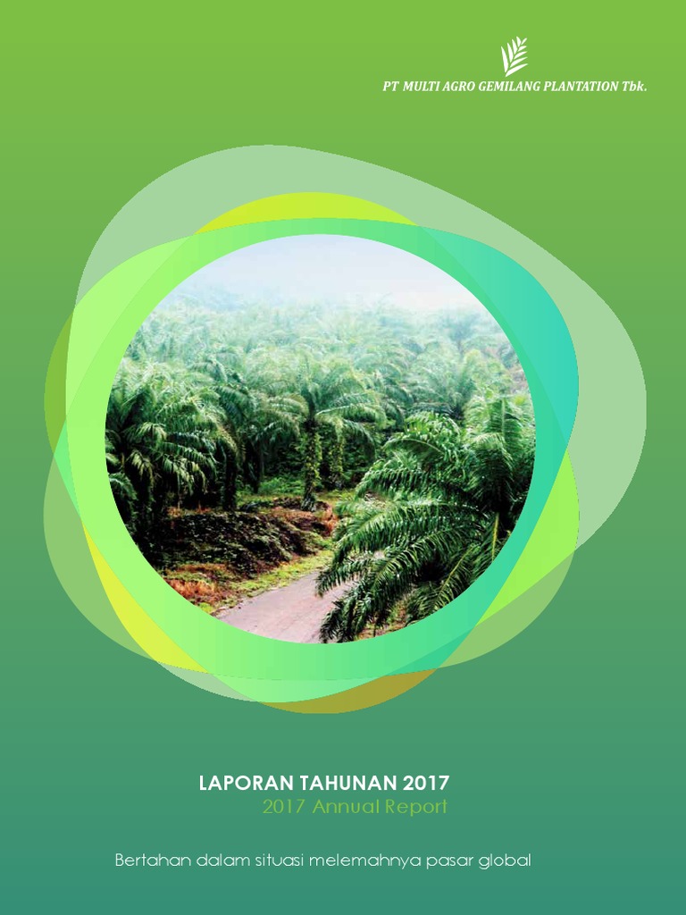 MAGP Annual Report 2017 | PDF | Net Income | Equity (Finance)