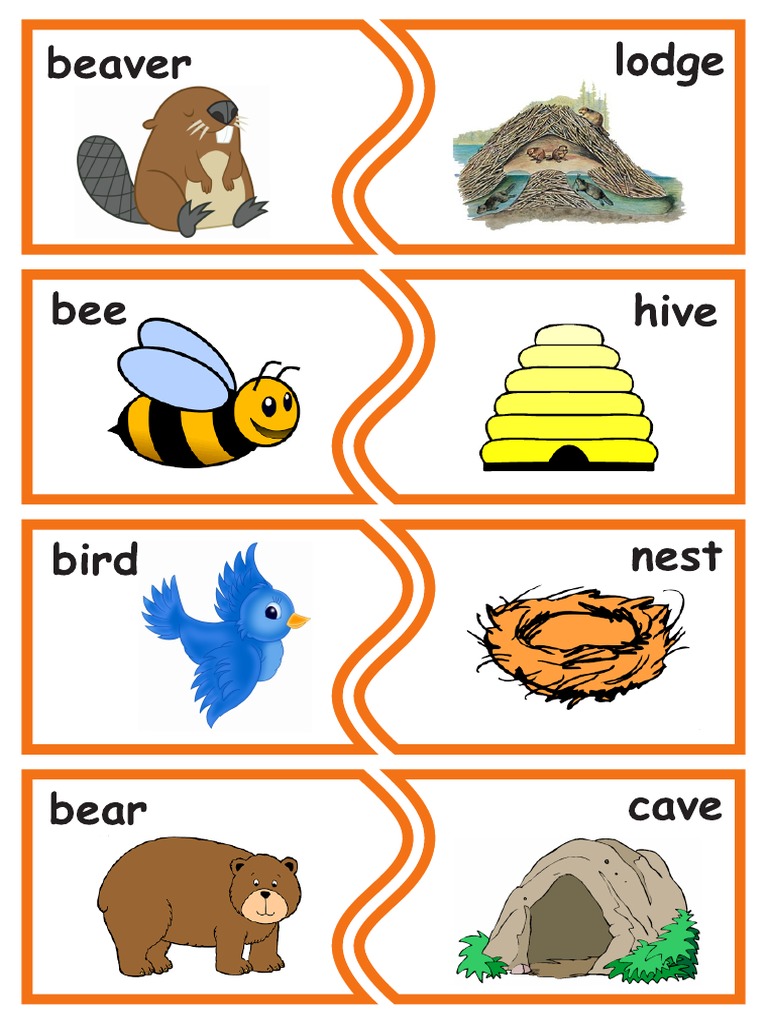 Animais e Insetos em Inglês | PDF