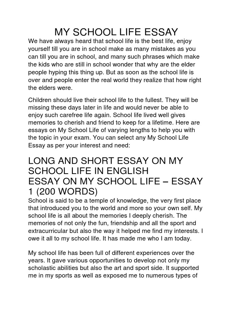 My School Life Essay | PDF | Schools