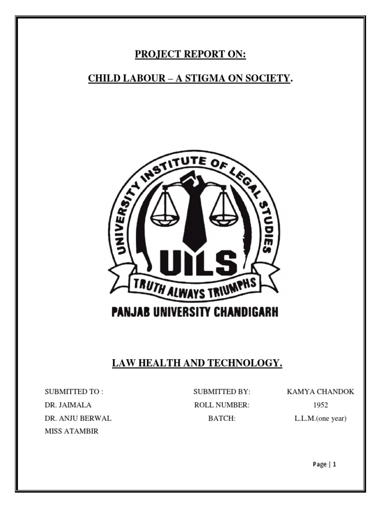 Child Labour Final | PDF | Child Labour | Labour Law