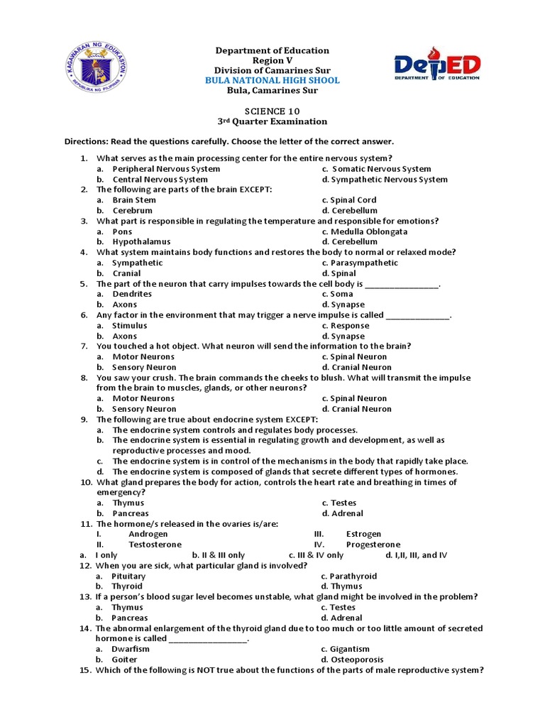 Grade 10 Science 3rd Quarter Exam | PDF | Nervous System | Neuron