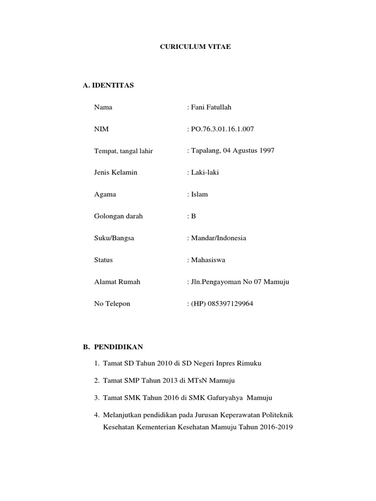 CV Fani Fatullah | PDF