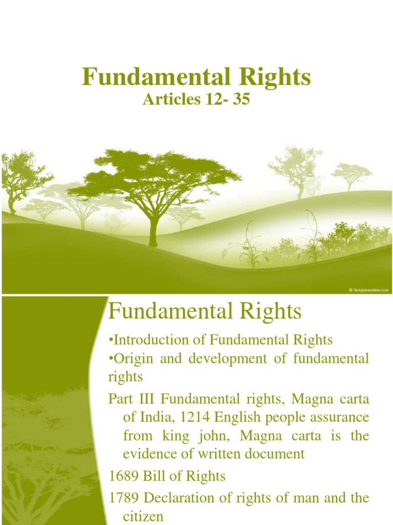 Fundamental Rights | PDF | Judicial Review | Constitution