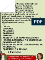 Ang Philippine Disaster Risk Reduction and Management | PDF