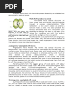 Palanca Letter | PDF