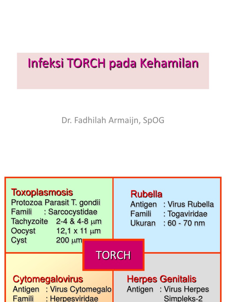 Infeksi TORCH Pada Kehamilan, Kuliah | PDF