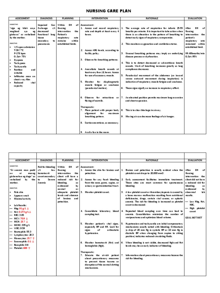 Nursing Care Plan Anemia | PDF | Bleeding | Breathing