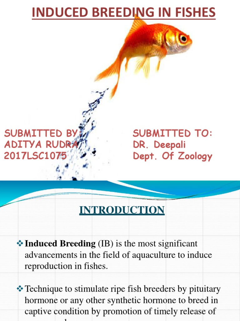 Breeding in Fishes | PDF | Luteinizing Hormone | Gonadotropin