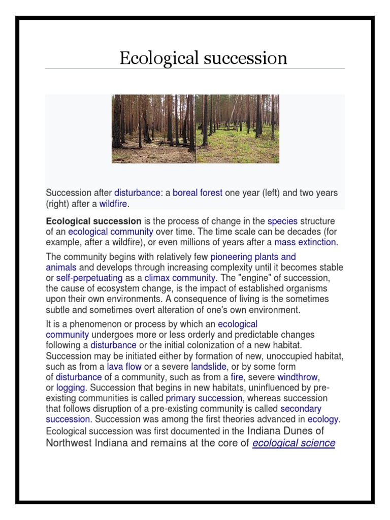 Ecological Succession | Download Free PDF | Systems Ecology | Ecology