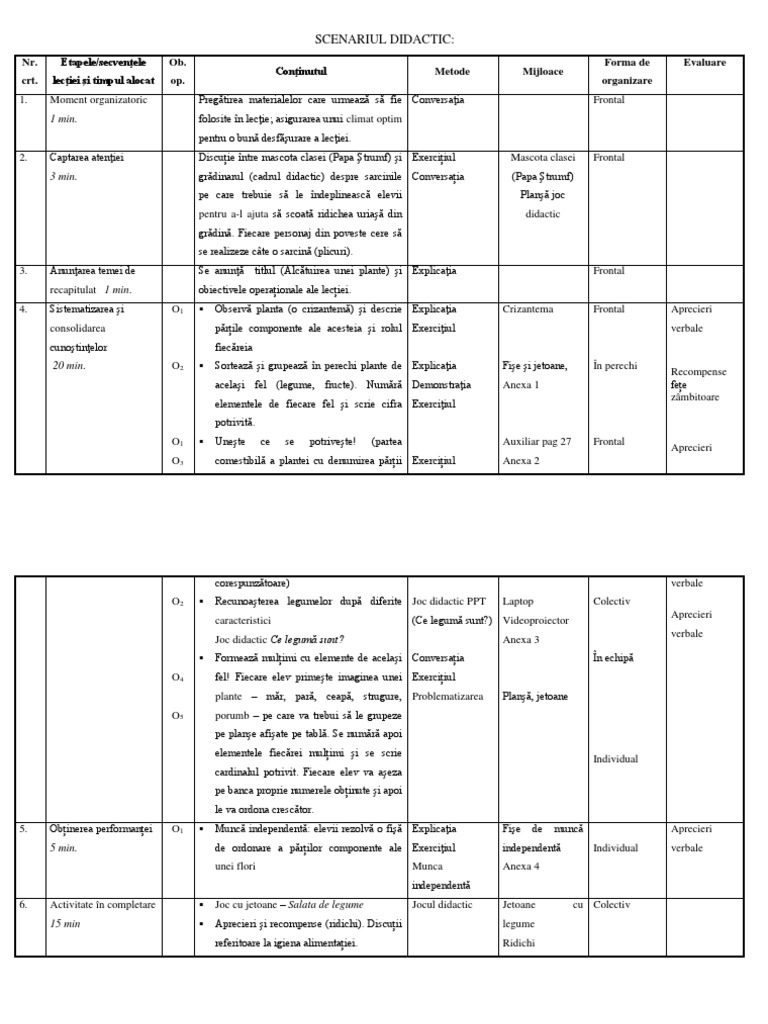 Scenariu Didactic | PDF