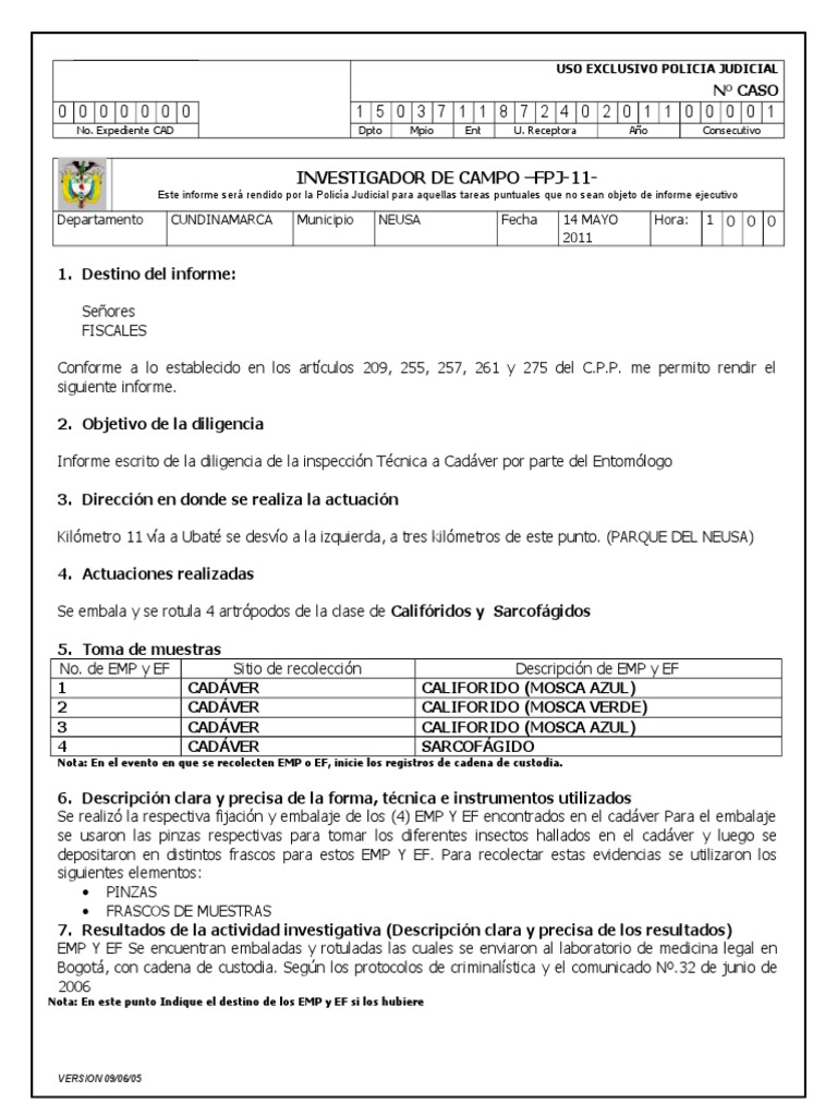 FPJ 11 Infor Investigador Campo | PDF | Thriller y crimen | Policía