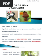 La Guaracha Chilena | PDF | Ciencias sociales | Arte