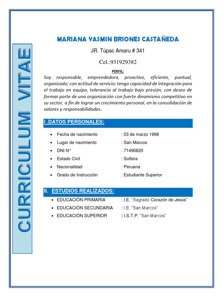 Modelo de Curriculo Vitae | PDF | Educación avanzada | Business