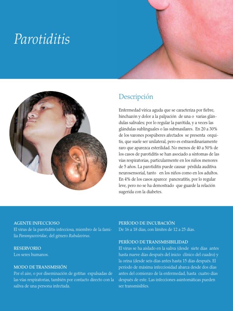 Parotiditis: Incubación y Transmisión | PDF | Humanidades Médicas ...