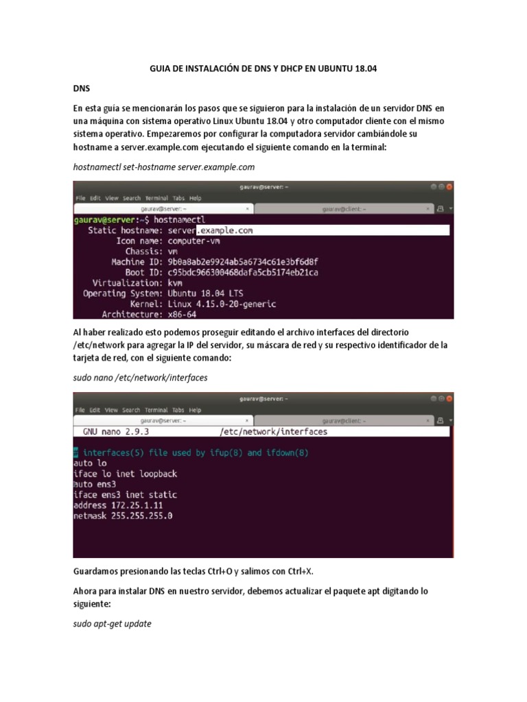Redes DNS y DHCP | PDF | Dirección IP | sistema de nombres de dominio
