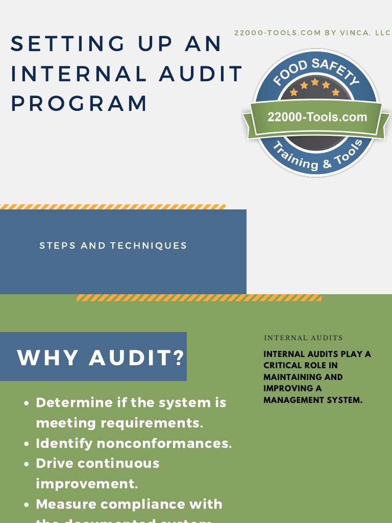 Introduction To Internal Audits | PDF | Internal Audit | Auditor's Report