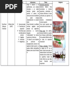 Resumen Simoes Network | PDF | Diente | Boca