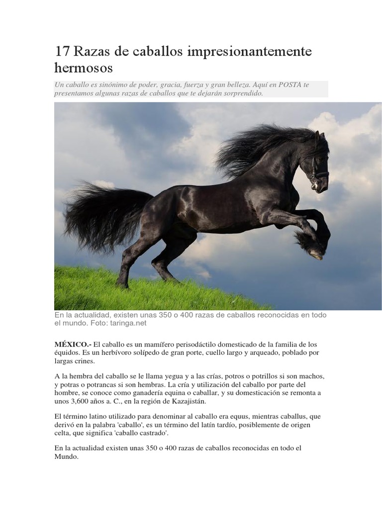 17 Razas de Caballos | PDF | Razas de animales | Caballos