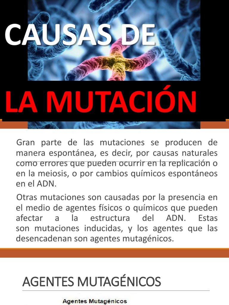 Los principales agentes mutagénicos y sus mecanismos de acción | PDF ...