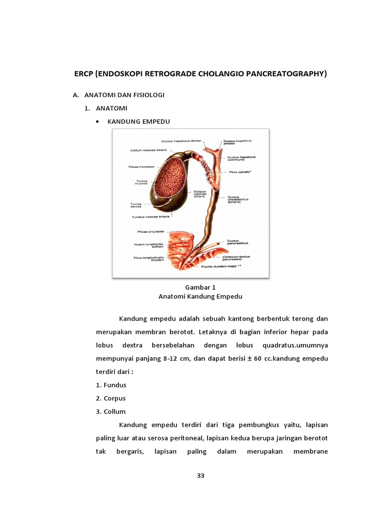 Prosedur dan Indikasi ERCP | PDF